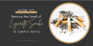 How To Remove the Smell of Cigarette Smoke | 10 Simple Ways